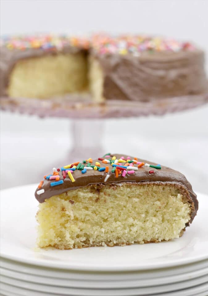 One Layer Cake -- SO EASY! Moist and Tender Every Time