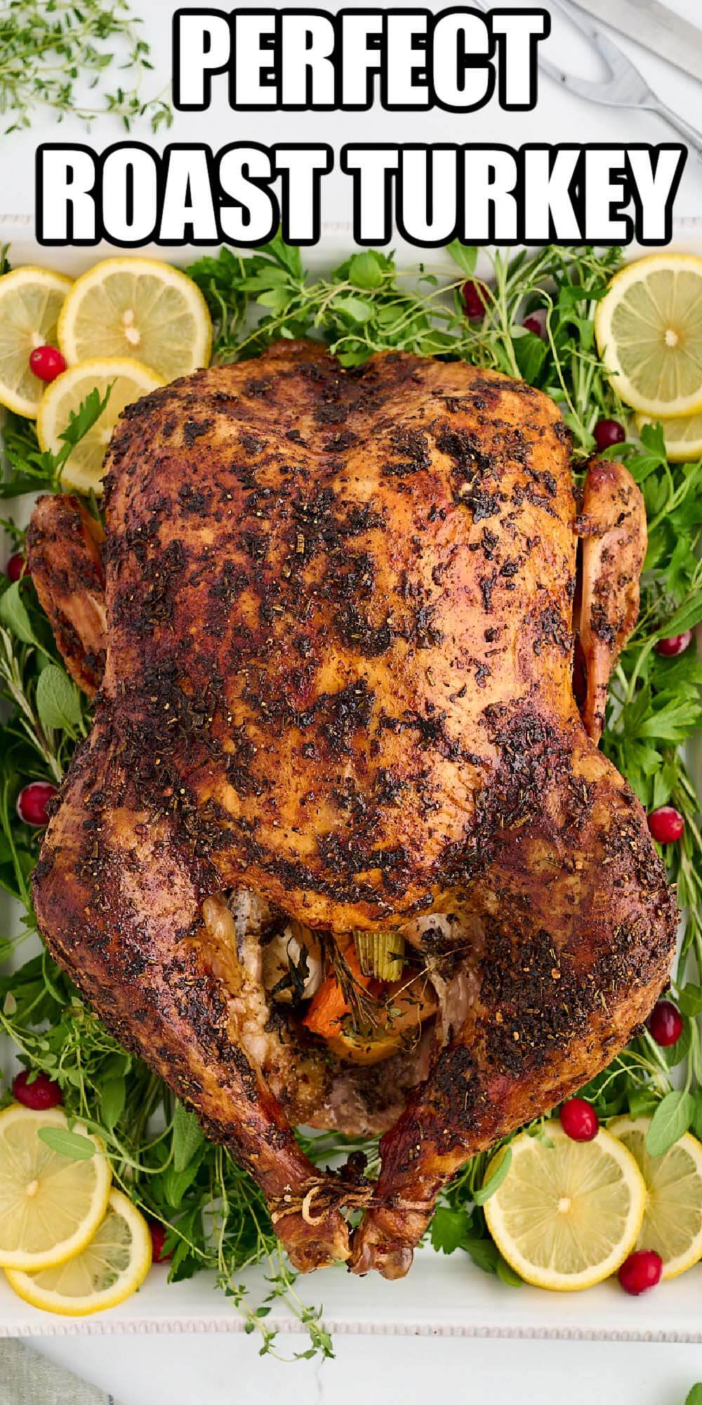 Roast Turkey Recipe