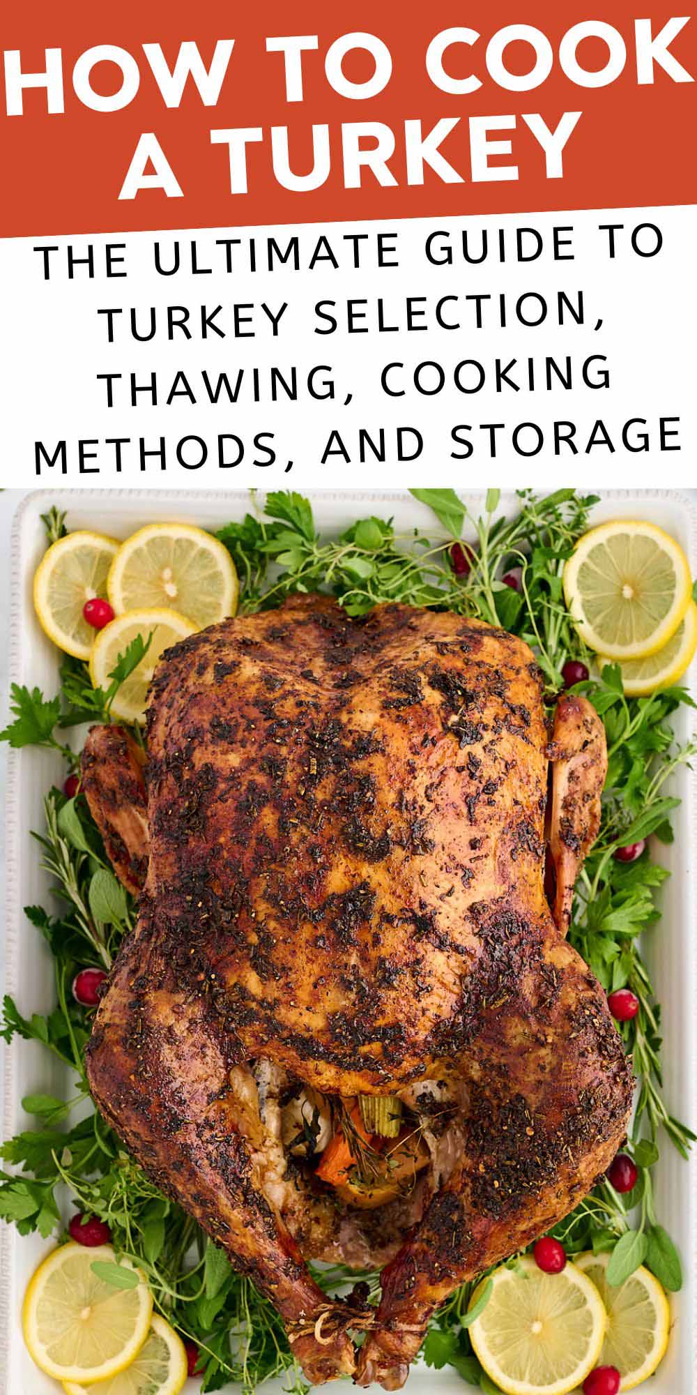 How to Cook a Turkey - Ultimate Guide