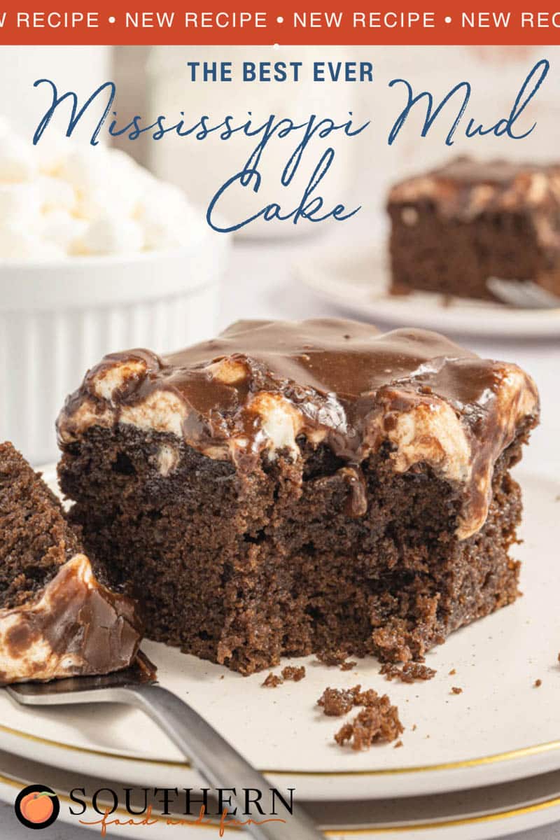 Easy Mississippi Mud Cake - Southern Food and Fun