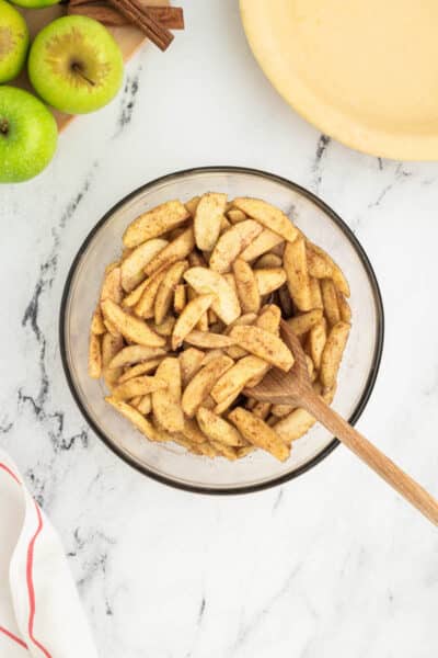 Double-Crust Apple Pie - Southern Food and Fun