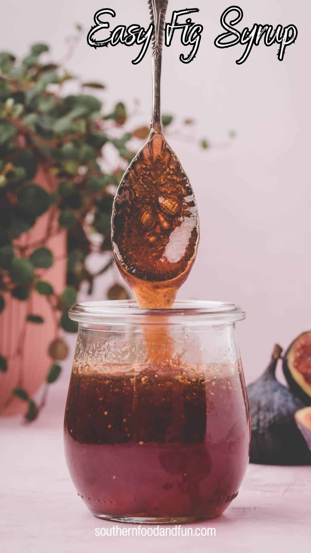 Fig Syrup - Southern Food and Fun