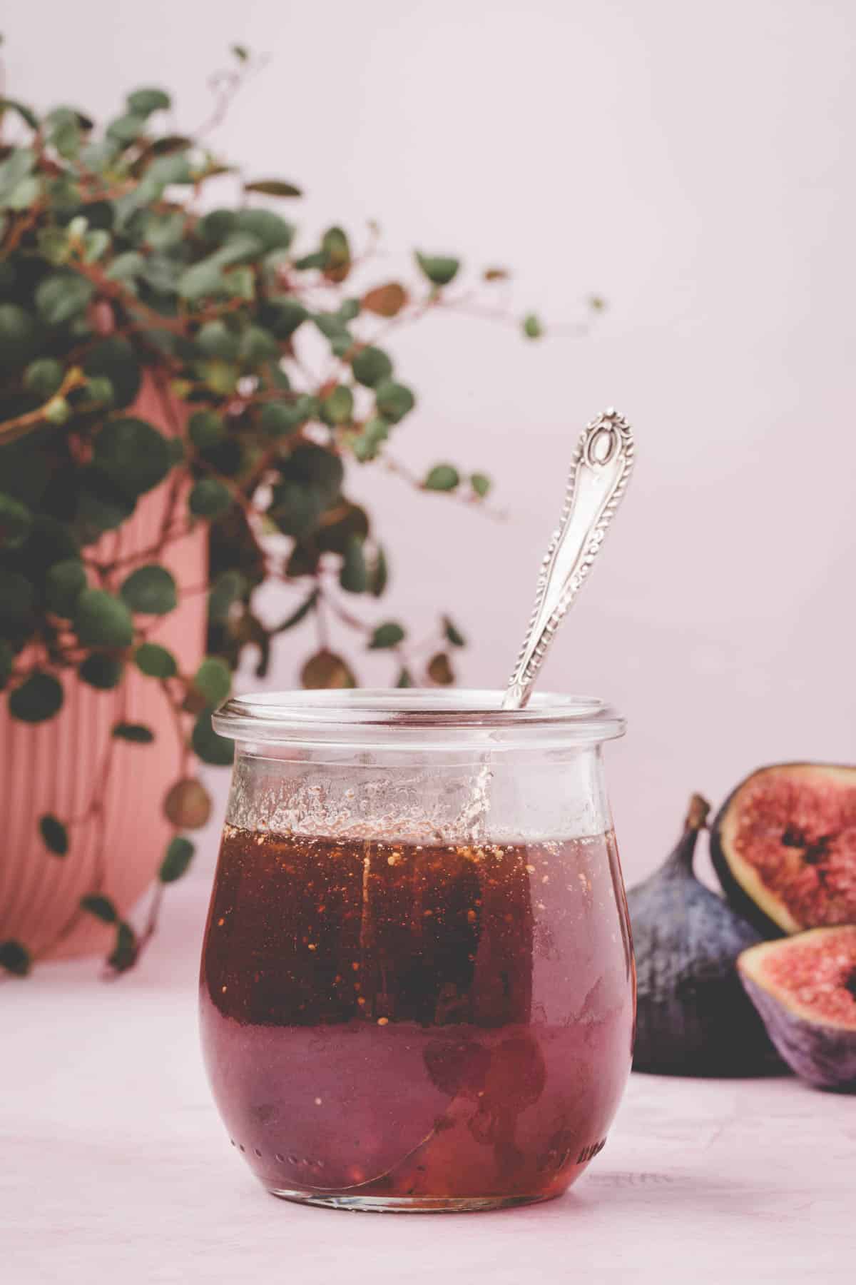 Fig Syrup - Southern Food and Fun