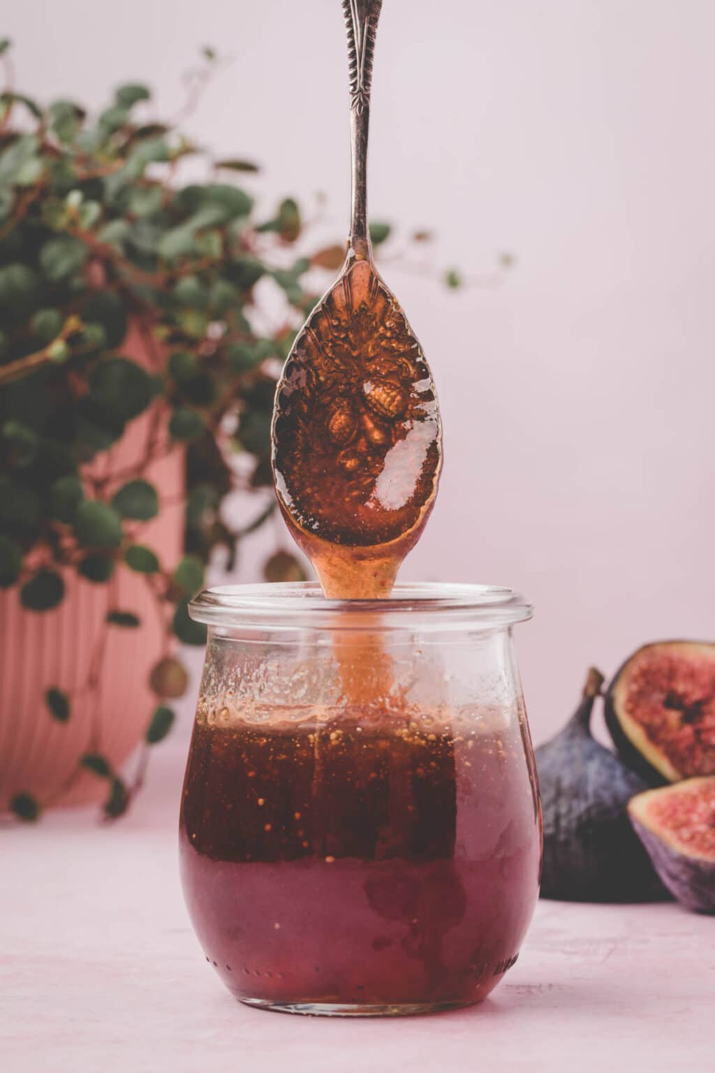 Fig Syrup - Southern Food and Fun