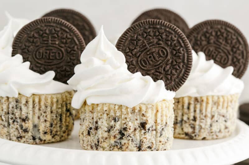 Oreo Cheesecake Bites - Southern Food and Fun